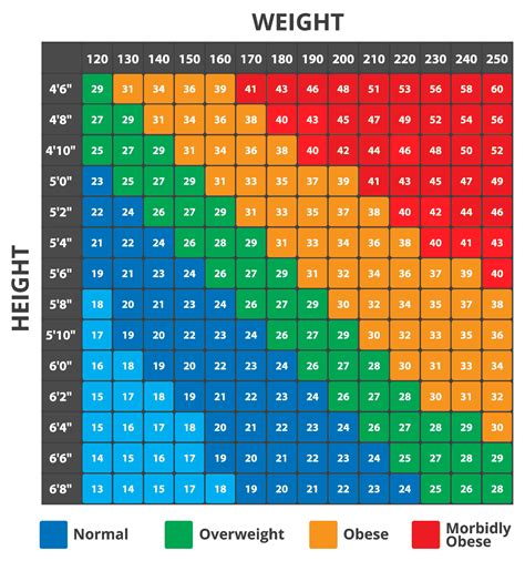 Detailed Bmi Chart My Xxx Hot Girl