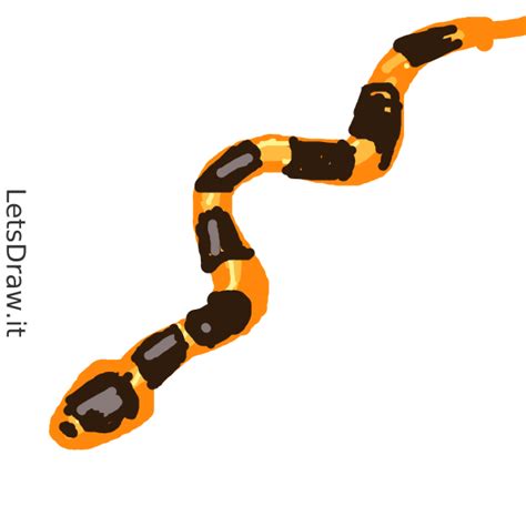 How To Draw Snake X6yuekkep Png LetsDrawIt