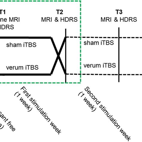 Design Of The Accelerated Itbs Treatment Procedure After A Washout Download Scientific Diagram