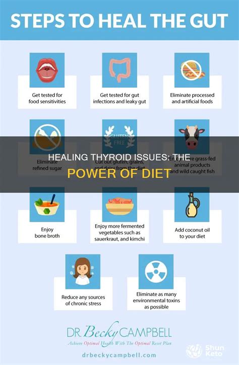 Healing Thyroid Issues The Power Of Diet Shunketo