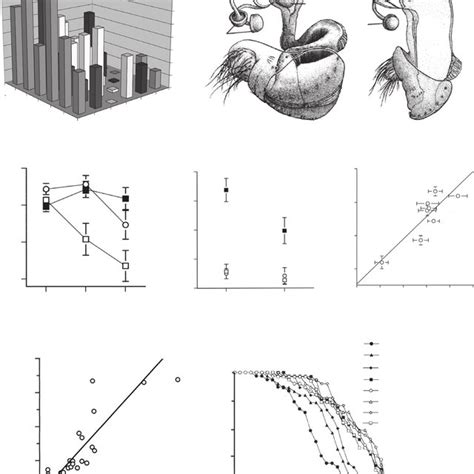 4 Sperm Morphological Diversity Attributed To Postcopulatory Sexual Download Scientific Diagram