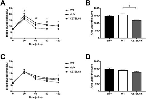 there were no consistent differences in glucose tolerance between db