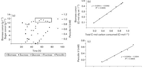 A A Typical Time Profile During A Batch Cultivation Showing The Sugar