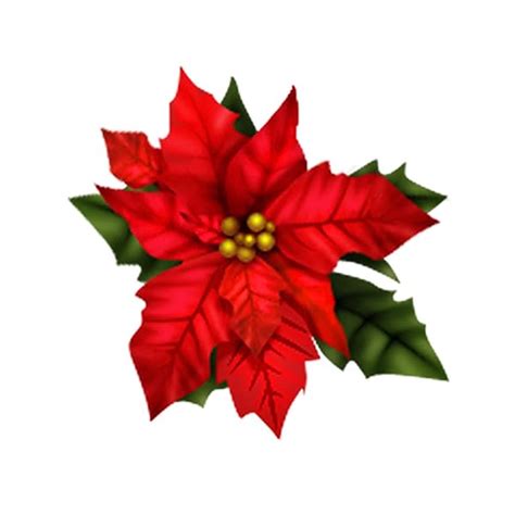 Xml Json In 8 Hours For Beginners Learn Coding Fast Yao Ray Swift Dart R Perl Pandas C