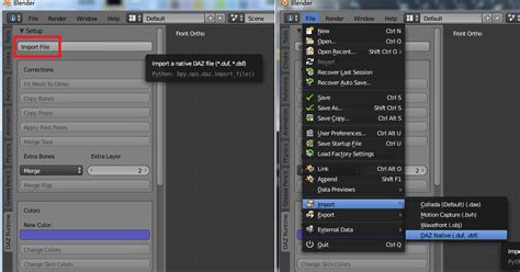 diffeomorphic import into blender version 1 2