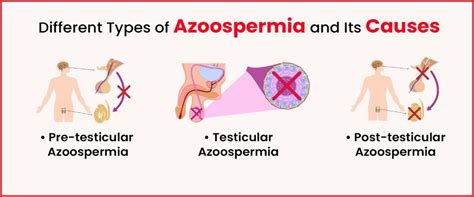 Azoospermia Causes Symptoms Diagnosis And Treatment