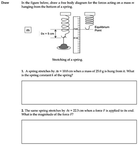 Spring Force Free Body Diagram