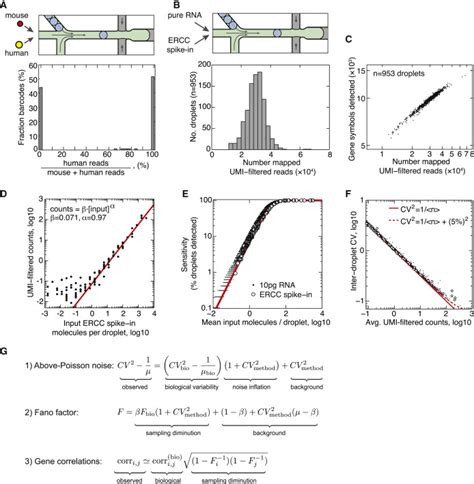 Droplet Barcoding For Single Cell Transcriptomics Applied To Embryonic Stem Cells Cell