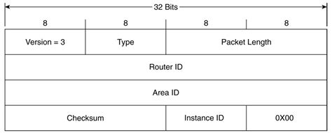 OSPF V Packet Formats Networking Space