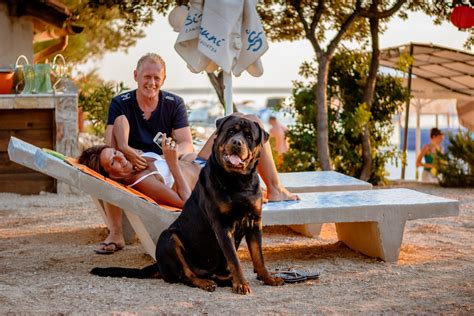 Odmor U Hrvatskoj Sa Psom Camping Village Šimuni