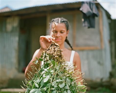 Help — Duval Timothy