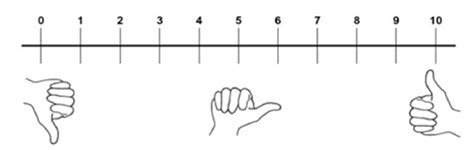 Visual Analogue Scale For Adherence