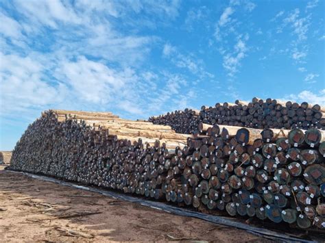 kartik yadav on linkedin we zindia forestry are pleased to announce that our vessel m v jules…