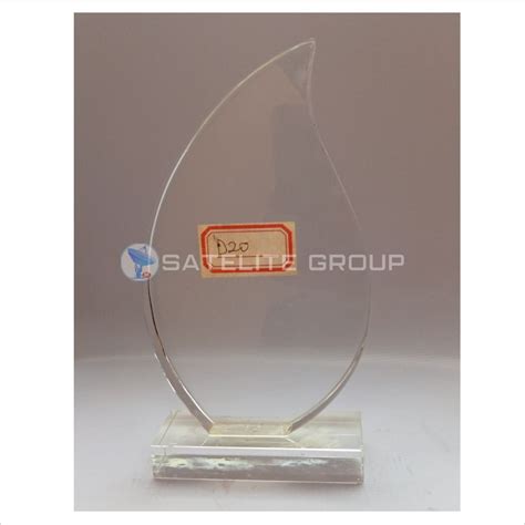 D20 Glass Award Satelite Group
