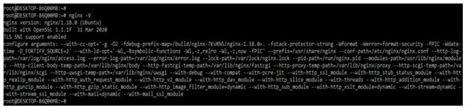 nginx error page how to configure nginx error page