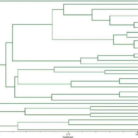 Dendrogram Of 52 Ramie Accessions From Group I Based On The Allelic