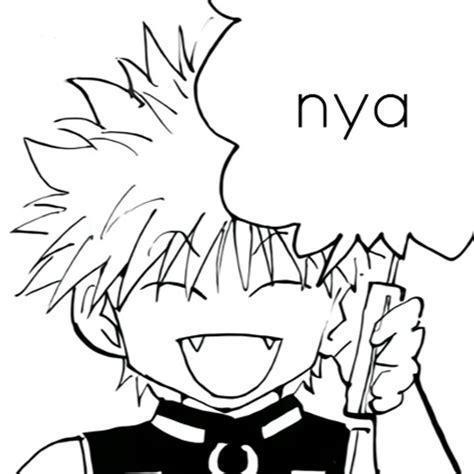 Every Kitty Killua Everykittykillua Tumblr Blog Tumlook