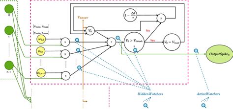 Computation Flow Of Snn Layer Including The Watch Points Used By The