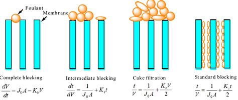 Schematic Diagrams And Equations Of Four Fouling Models A Membrane Download Scientific