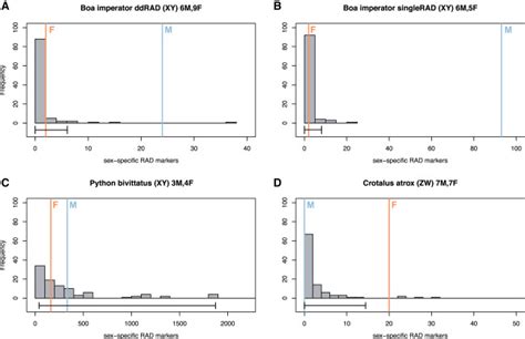 The Discovery Of XY Sex Chromosomes In A Boa And Python Current Biology