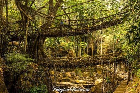 Best Places To Visit In Sohra Cherrapunjee Artofit