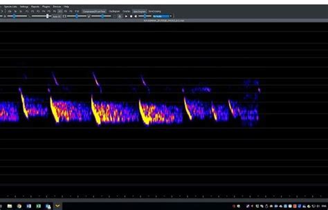 Balance Environmental Bat Call Analysis Echolocation Bat Call Balance Environmental Bat Call Analysis Echolocation Bat Call