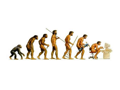 Future Evolution Of The Human Race