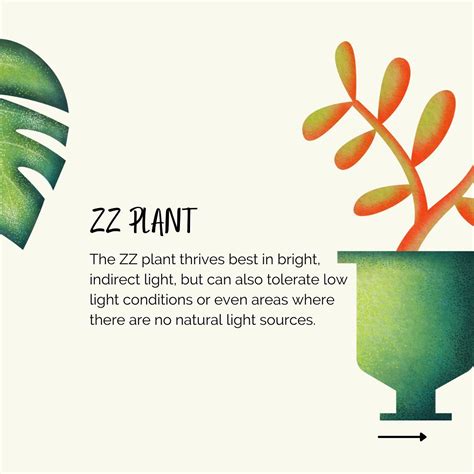 Mother Compost Home Facebook