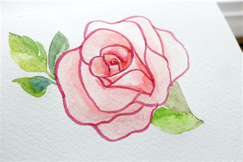 수채화] 분홍 장미 꽃 그림 그리기 네이버 블로그