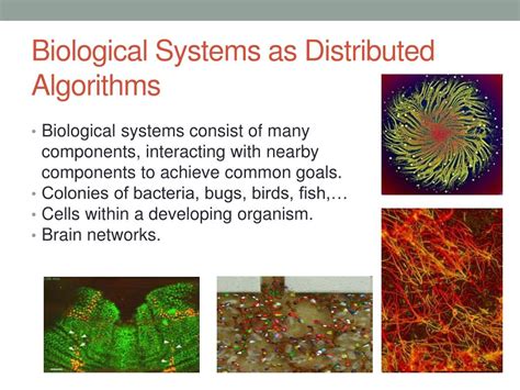 ppt distributed algorithms and biological systems powerpoint