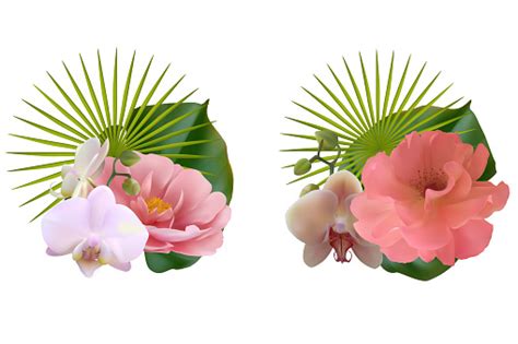 열대 꽃과 나뭇잎의 밝은 벡터 그림입니다 난초 플루 메리아 프랜지파니 종려 나무 잎 꽃다발 세트입니다 이국적인 열대 배경입니다 0명에 대한 스톡 벡터 아트 및 기타 이미지