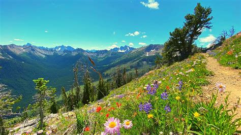 North Cascades Camping And Backpacking Wildland Trekking