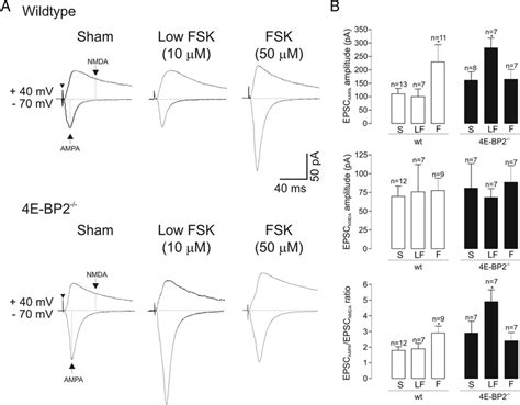 Facilitation Of Amparnmdar Ratio Of Evoked Epscs During Cl Ltp In Download Scientific Diagram