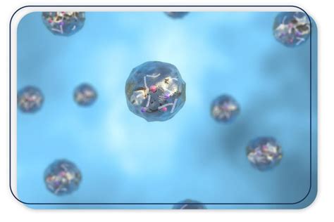 Exosome Therapy Aesthetic And Medical Treatments Stem Gene Ivf Clinic