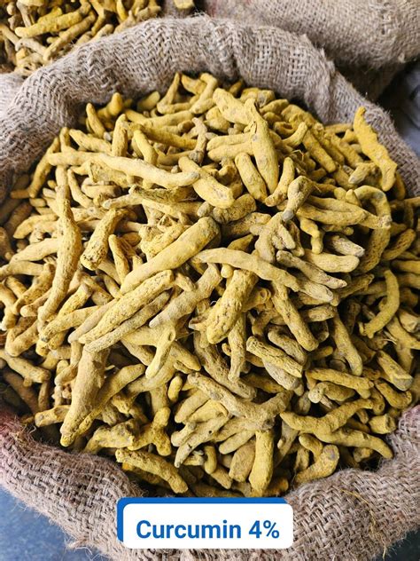 Sarath Babu On Linkedin Hi Connections Turmeric A Plant In The