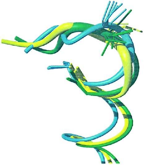 Comparison Of The Metal Binding Sites Of Apo Copz Yellow Apo Merp