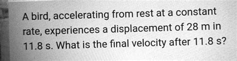 solved a bird accelerating from rest at a constant rate experiences