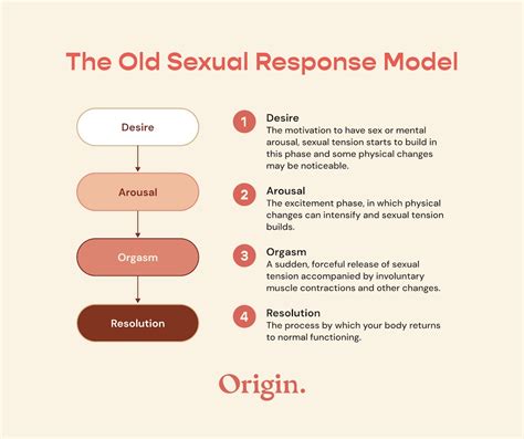 The New Female Sexual Response Cycle Yes Its Complicated