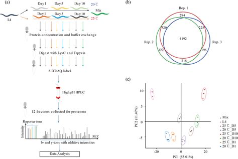Proteomic Analysis Of Aging C Elegans At Different Temperatures A Download Scientific