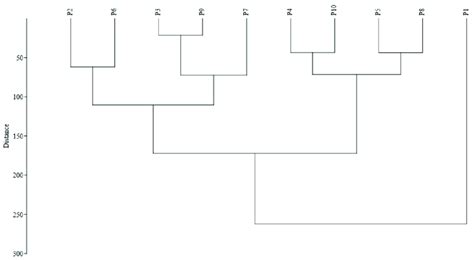 Hierarchical Clustering Of The Honey Samples Based On Physico Chemical