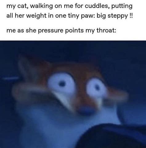 Cat Like Big Steppy Rmemes