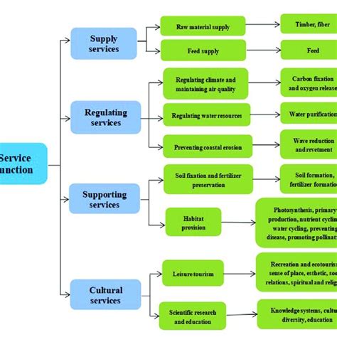 Classification Of Mangrove Ecosystem Service Functions Download