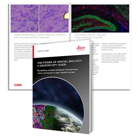 The Power Of Spatial Biology A Microscopy Guide Microscopy Focus