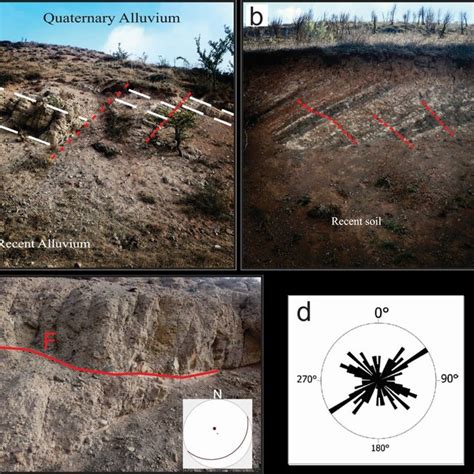 Quaternary Faulting Fracturing And Young Deformed Quaternary Alluvial Download Scientific