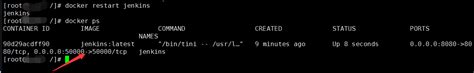 解决：docker 运行镜像创建容器后，使用docker ps 没有显示正在运行的容器 docker有镜像没有容器 csdn博客