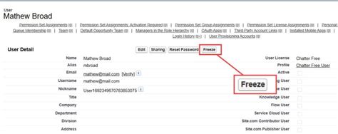 How To Freeze And Unfreeze User In Salesforce