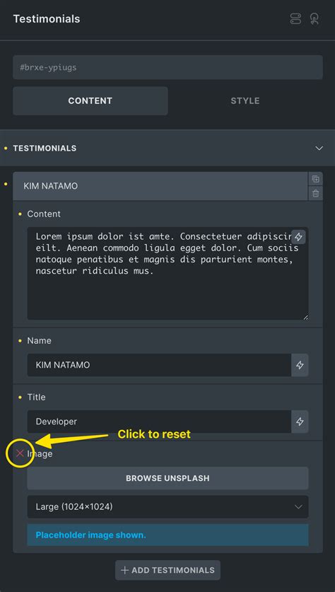 Duplicate Bug Field Image In Widget Testimonials Bugs Bricks Community Forum