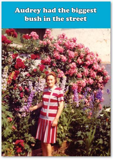 Auderys Bush Card And Caboodle