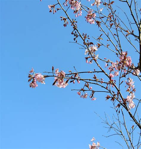 Aesthetica Magazine Avalon Iris