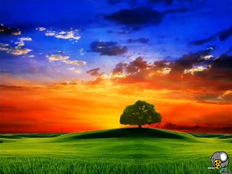 خواننده معروف سعید سعید پور گریه عاشق فیلو